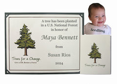 Adopt a Tree | Trees as Gifts | Gift Trees | Trees for a Change LLC