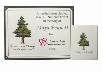 Best Memorial Tree Planting Service | Send & Dedicate Tree as Gift