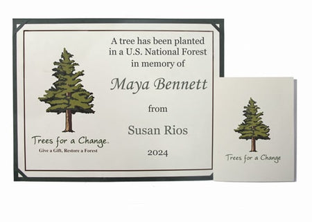 Memorial Tree Gift | Trees for a Change LLC
