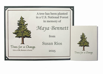 Best Memorial Tree Planting Service | Send & Dedicate Tree as Gift
