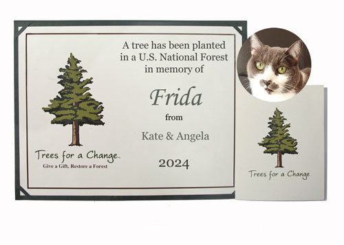 Pet Memorial Tree | Trees for a Change LLC