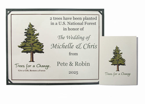 Personalized Anniversary Gift | 2 Tree Wedding Gifts Personalized
