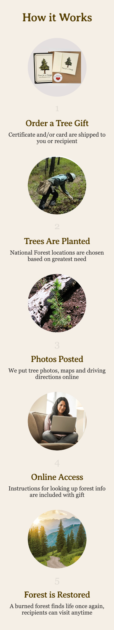 Plant a Tree as a Gift | Unique Eco-Friendly Gift for Nature Lovers