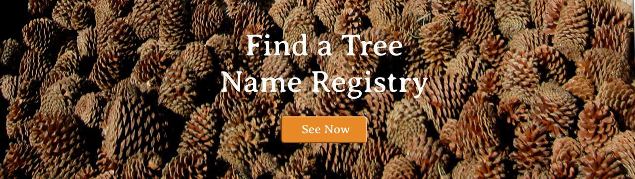 Trees planted for gifts, memorials, & pet memorials